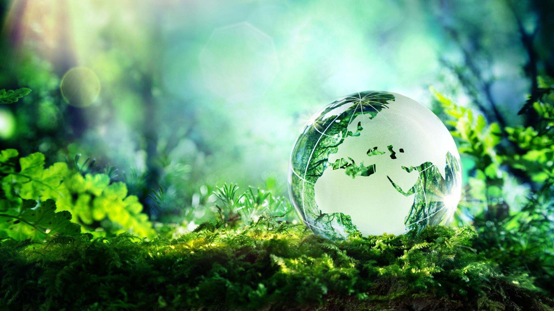 В России наградили победителей "Зеленой премии – 2025", разыграв почти ...