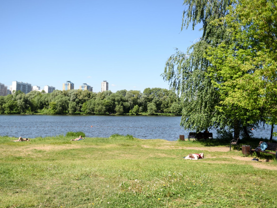 В Москве разрешили купание только в четырех водоемах Регионы Селдон Новости