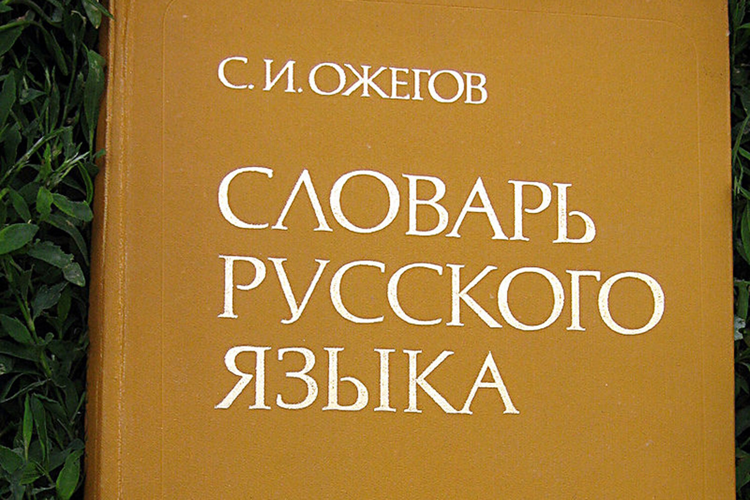Госдума одобрила законопроект о защите русского языка от засилья
