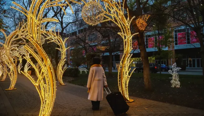 Парки и площади Кубани украсили к новогодним праздникам | Регионы ...