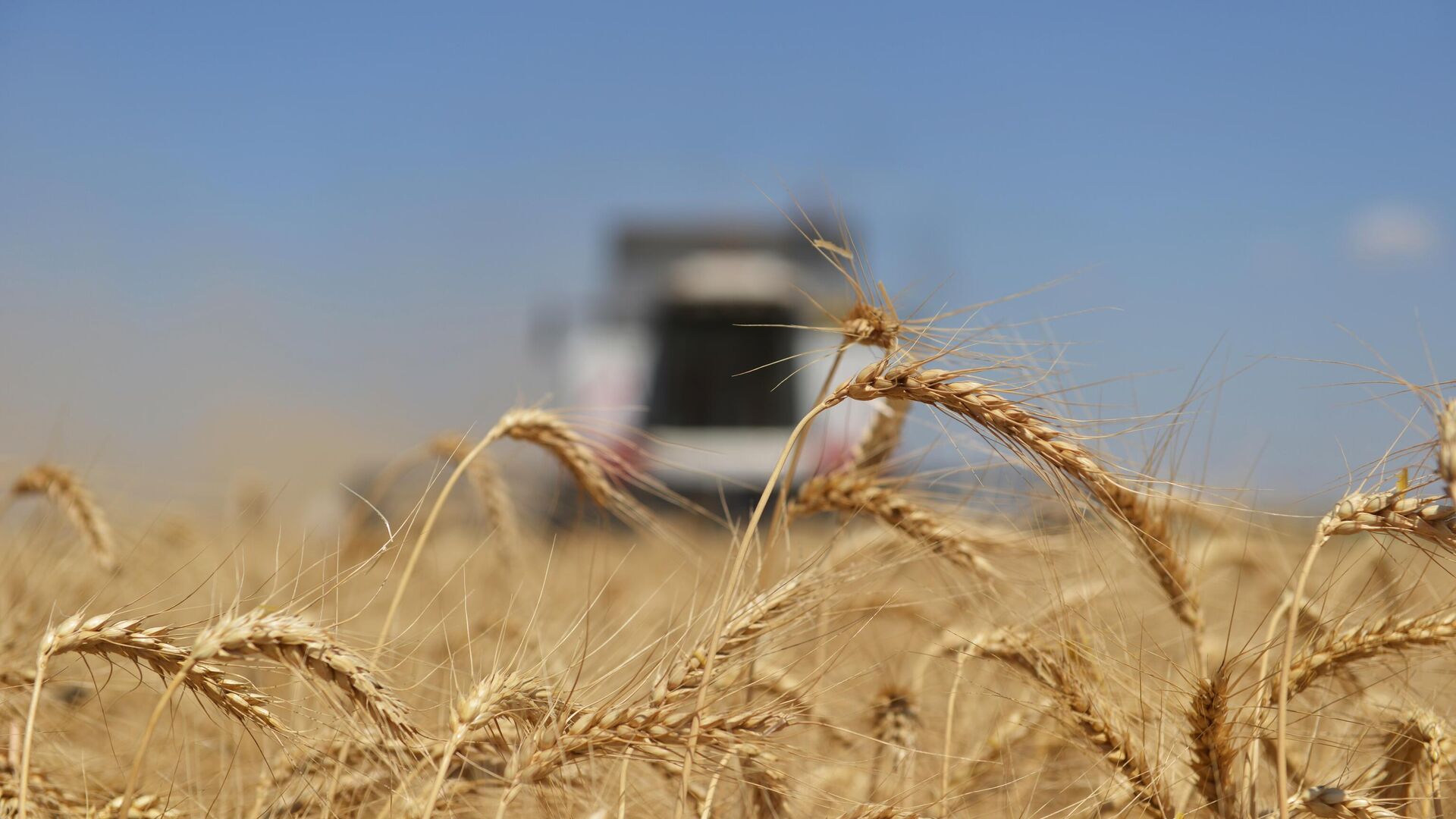 Экспорт агропродукции в Саудовскую Аравию в 2022 году вырос на 50