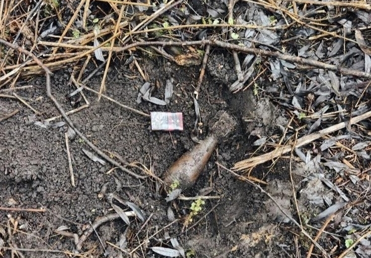 В арсеньевской деревне обнаружена минометная мина времен ВОВ | Общество ...