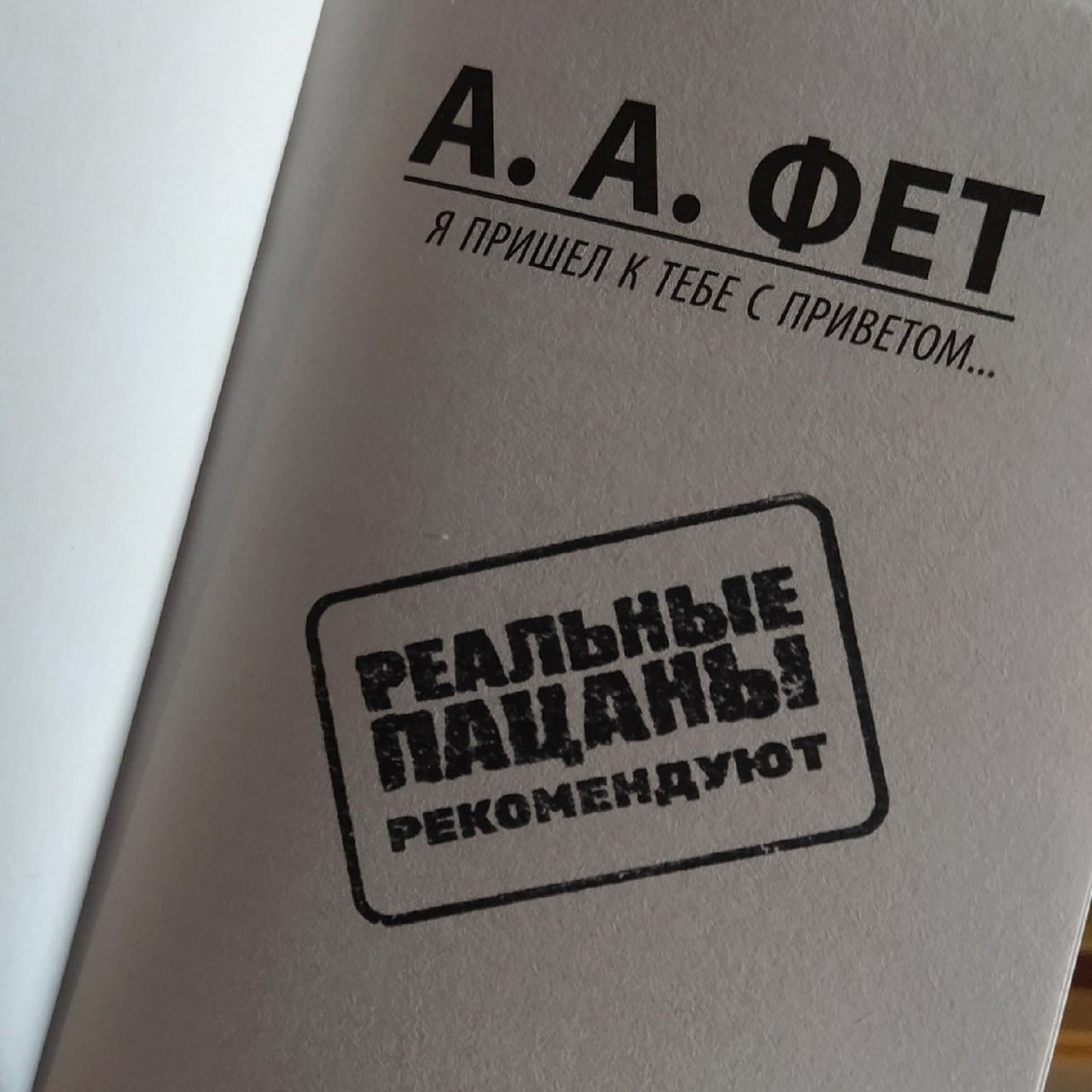В Перми открылась библиотека «Реальных пацанов» | Культура | Селдон Новости