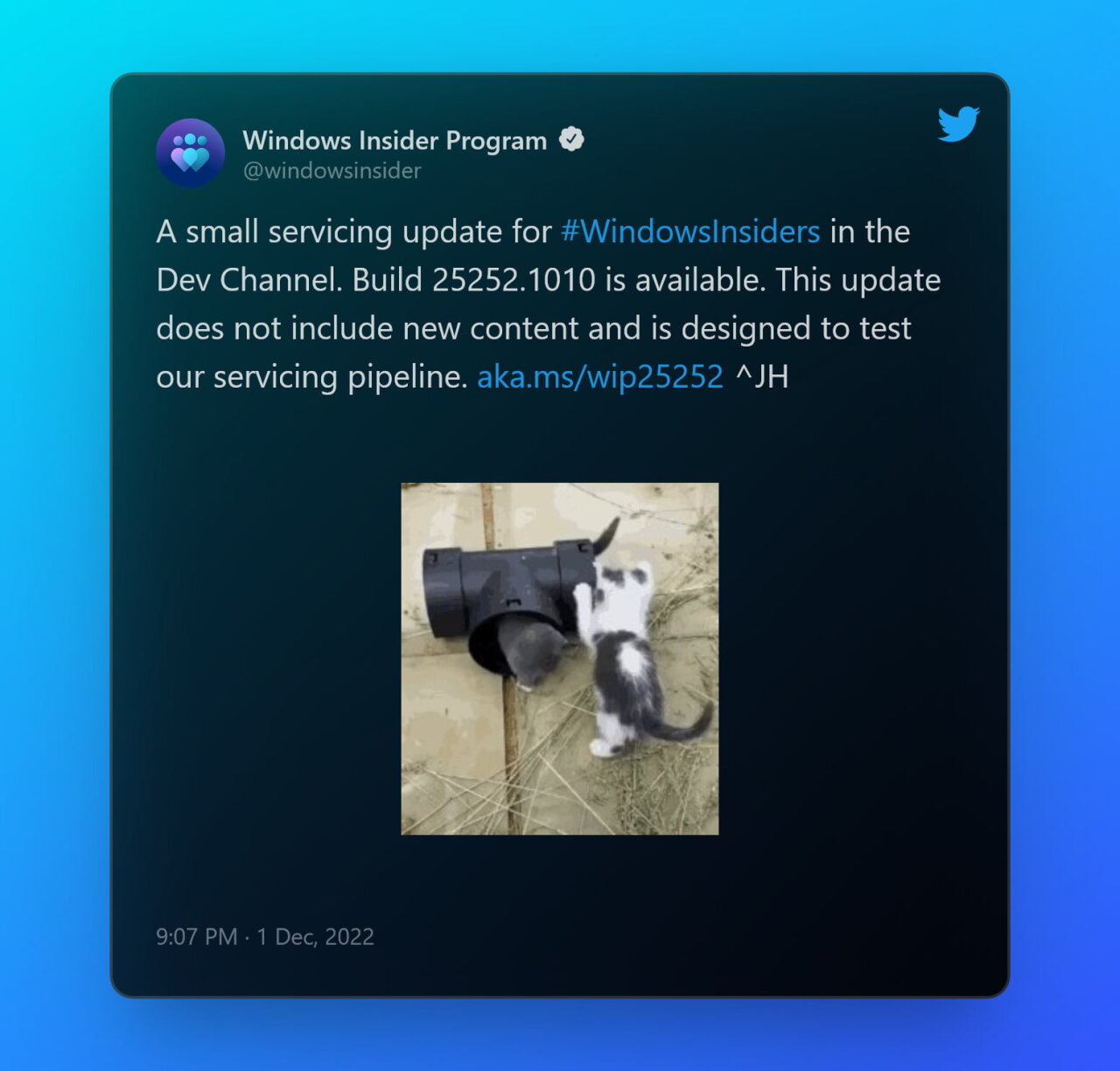 Microsoft выпустила сборку Windows 11 Build 25252.1010 на канале Dev | Hi-Tech | Селдон Новости